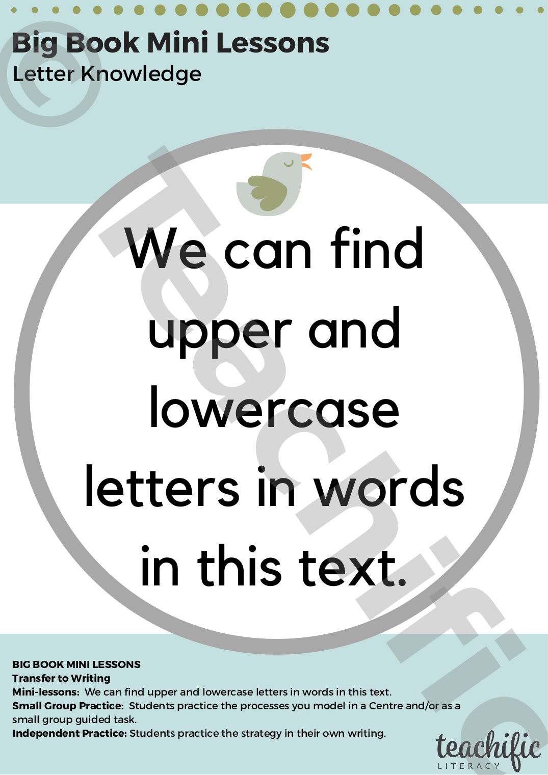 Mini Lessons: Big Book - Letter Knowledge (Upper and Lower Case) 1 ...