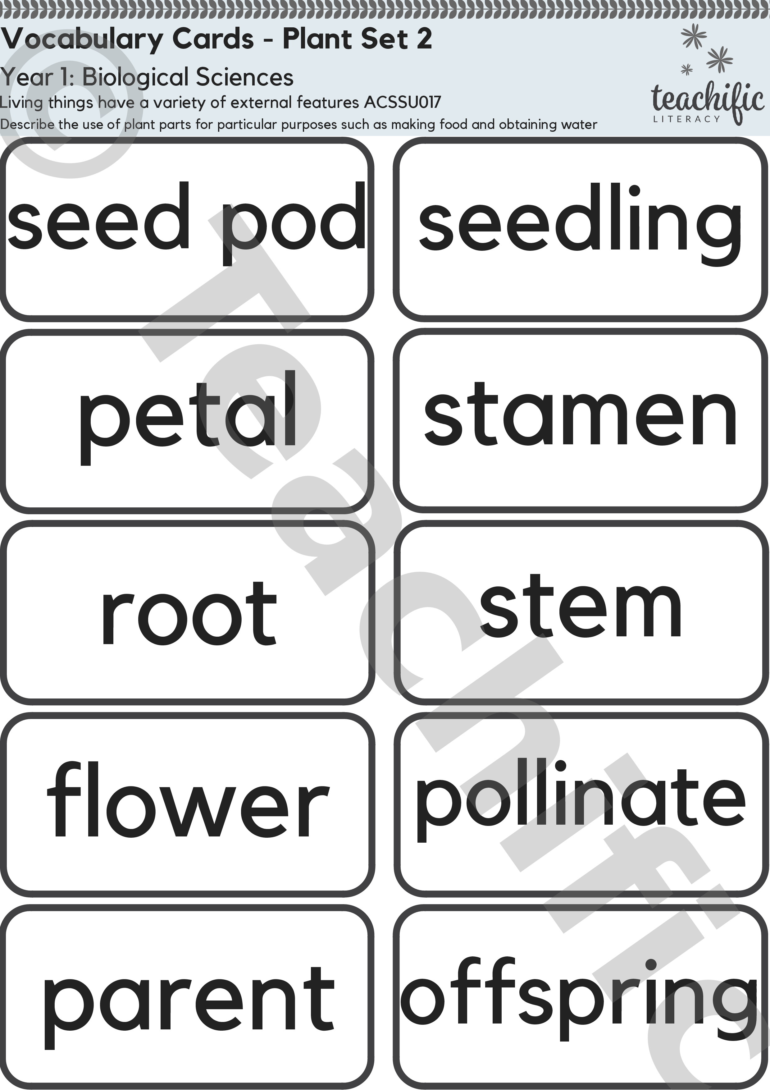 Science Vocabulary Cards: Yr 1 Biological Sciences - Plant Set 2 ...